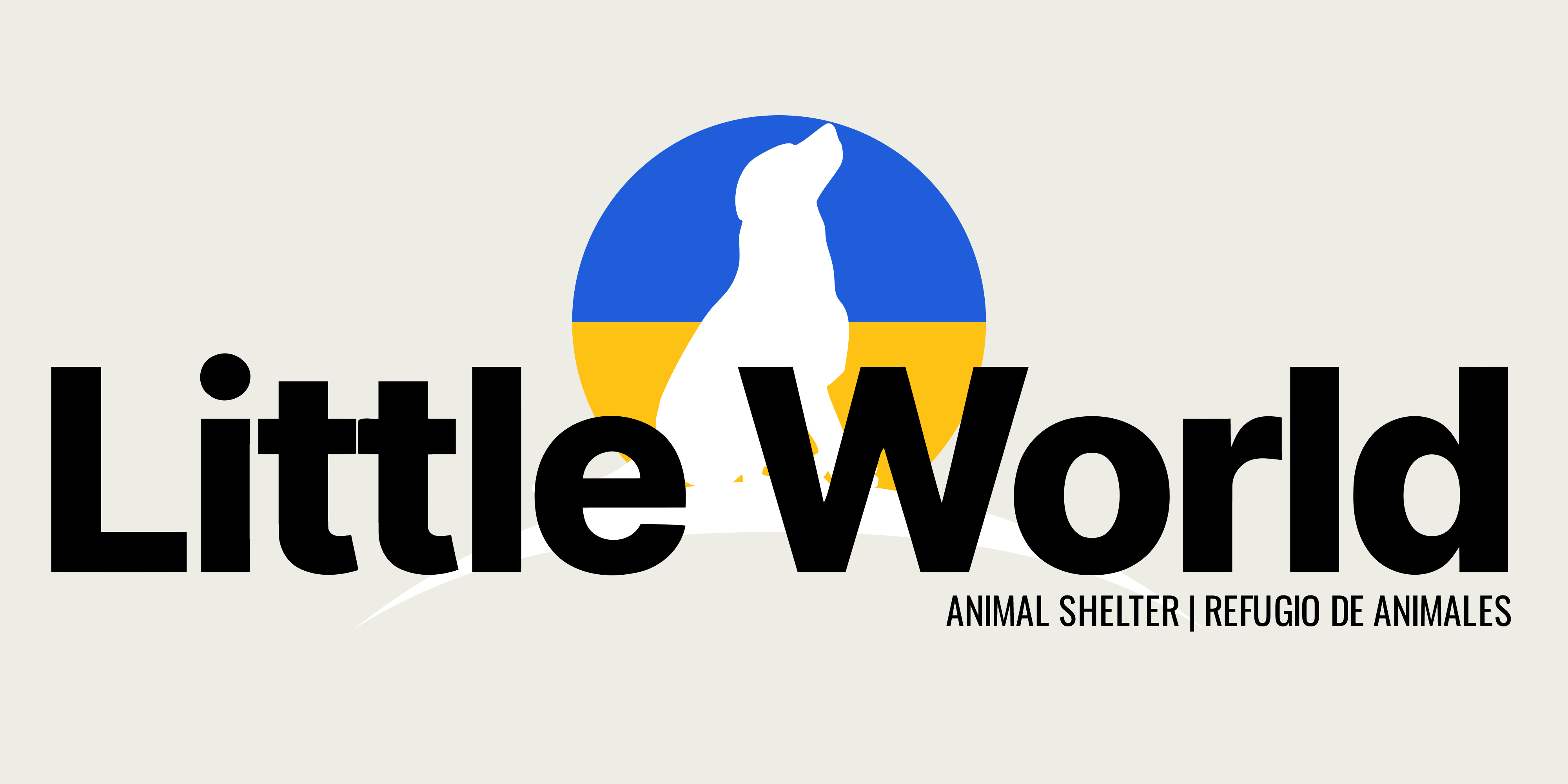 Little World – Asociación de ayuda a Ucrania – Little World